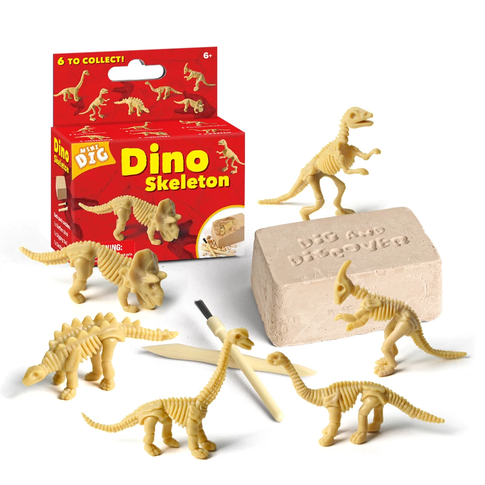 DIY Dinosaur Fossil Excavation Kit Pirate Skeleton Archaeological Dig ...