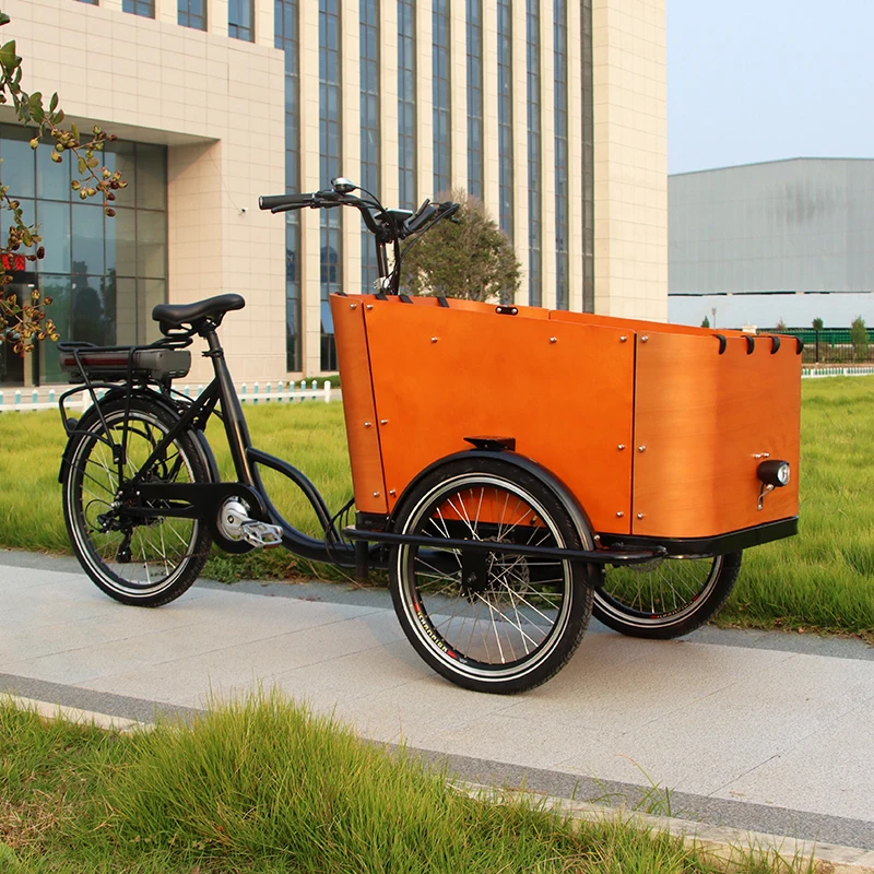 Hot Sale Electric Freight Bike Netherlands 3 Wheel Family Freight Bike ...