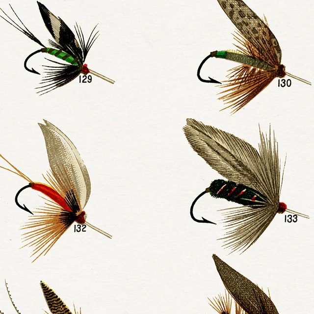 Fly Fishing Flies Illustration