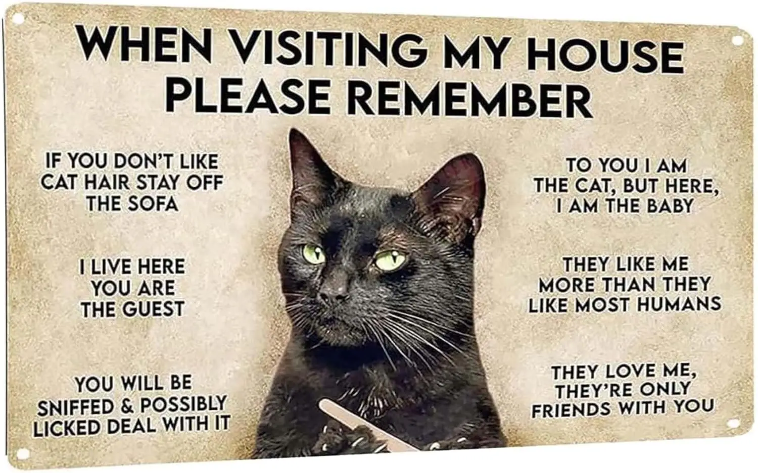 Vintage-Metal-Tin-Sign-Funny-Sarcastic-Party-Wall-Art-Decor-Signs-Cat ...