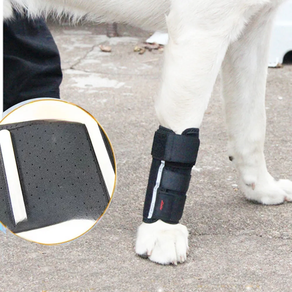 Dog-Fracture-Fixation-Splint-To-Protect-The-Joints-Leg-Guards-Lying ...