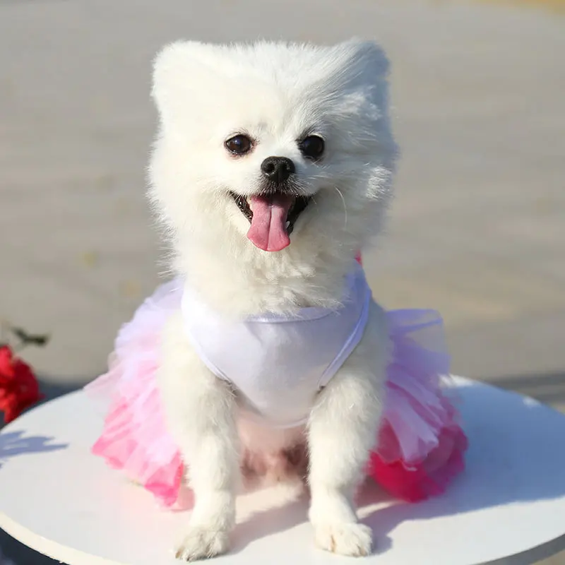 Sweet Princess Dress For Cute Dogs – DogMega.Com