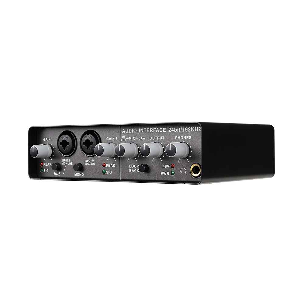 TEYUN Q-24 Professional Audio Sound Card with Monitor Electric Guitar ...