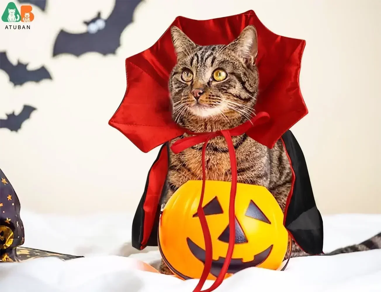 Halloween Witch & Vampire Pet Cloak – Adjustable Costume for Cats ...