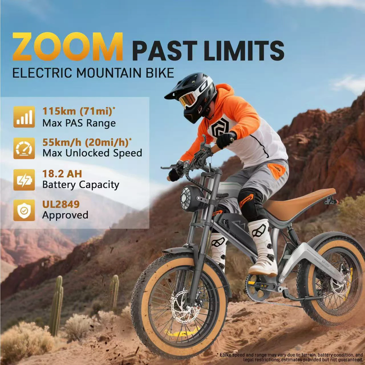 Twofish M20 Electric Bicycle 1000W Motor 55Km/H Ebike 48V 18.2Ah ...