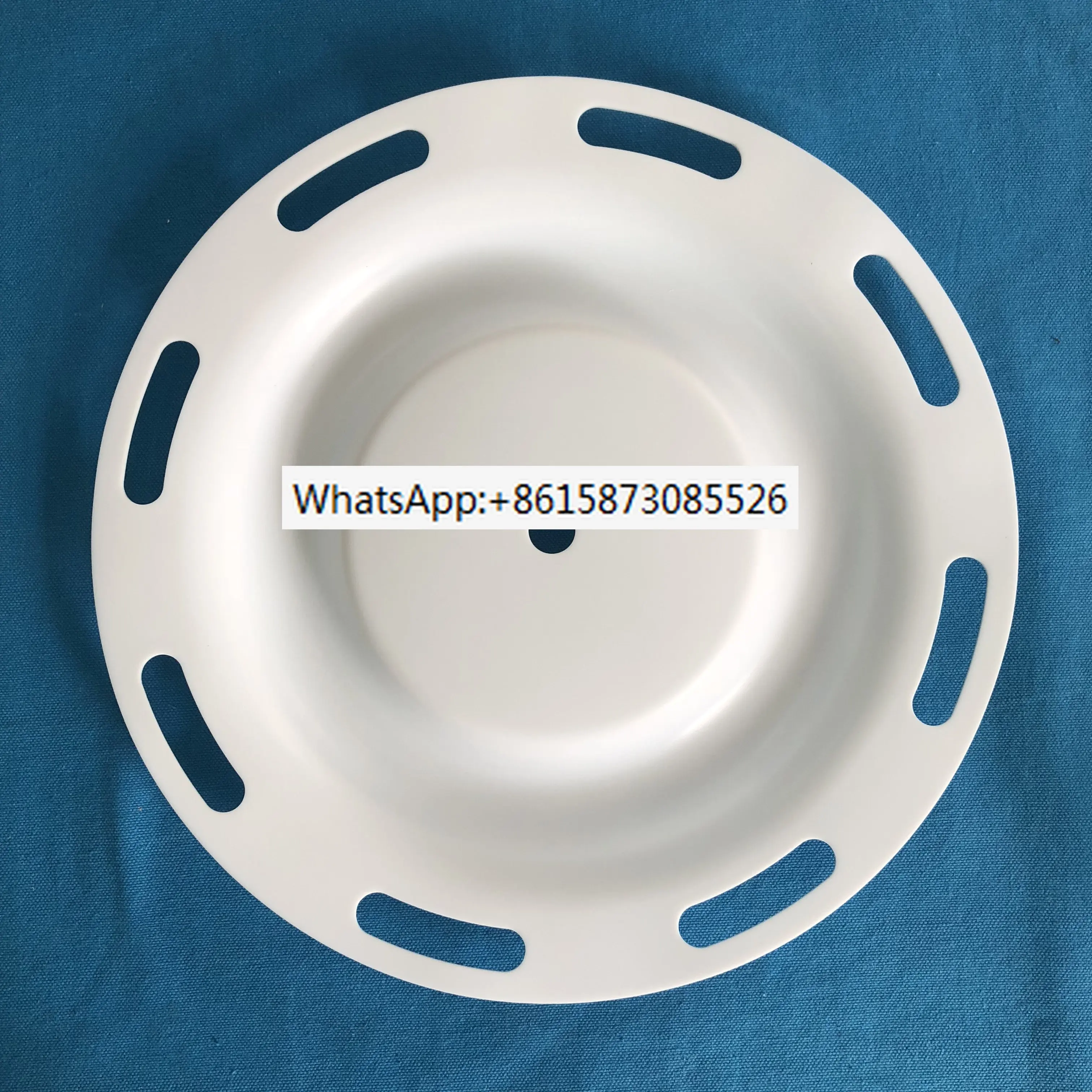 Sandpiper-Pumps-PTFE-Diaphragm-286-119-600-for-Sandpiper-Air-Operated ...