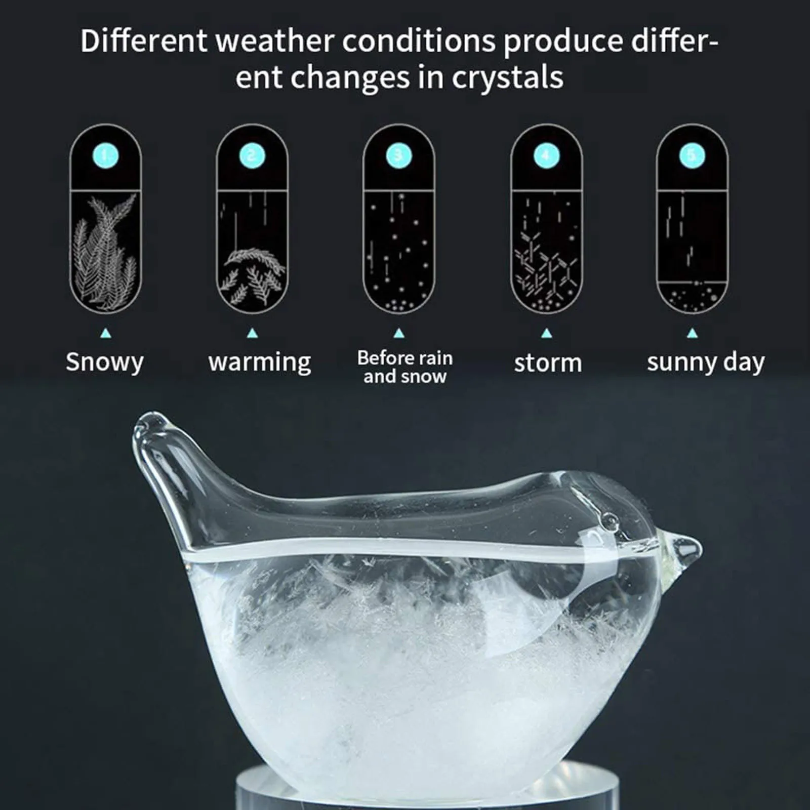 Liquid-Desktop-Weather-Forecaster-30ml-Glass-Weather-Barometer-Glass ...