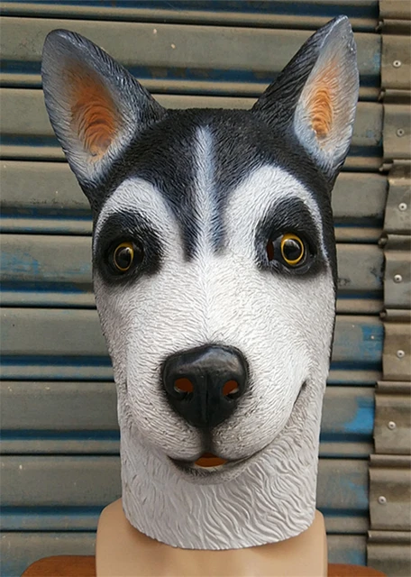 Funny Dog Face Husky