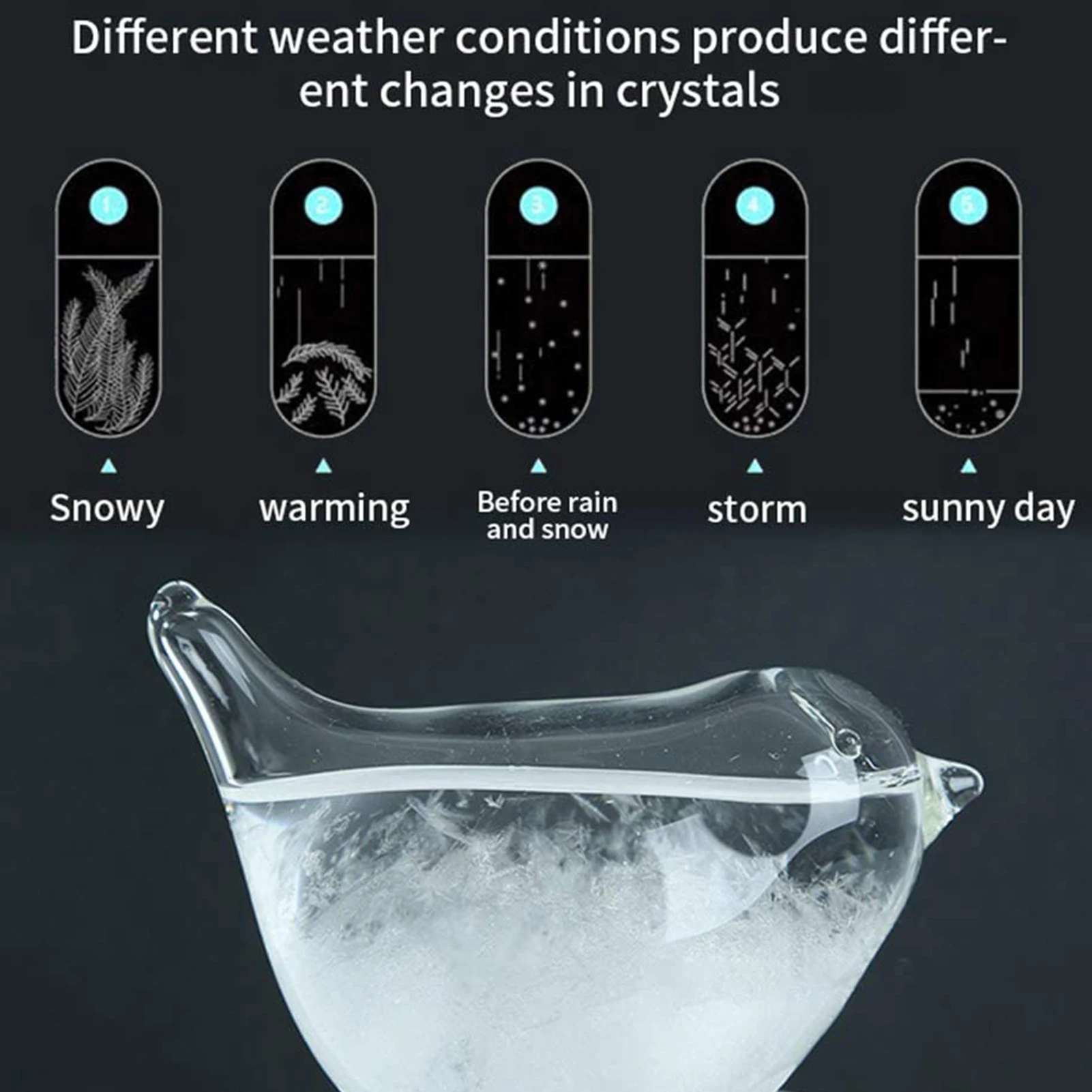 Storm-Glass-Bird-Shape-Glass-Weather-Forecaster-European-Style-Gifts ...