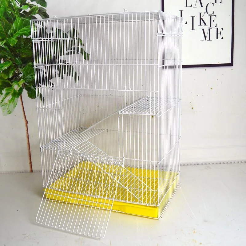 Flying Squirrel Cage Setup