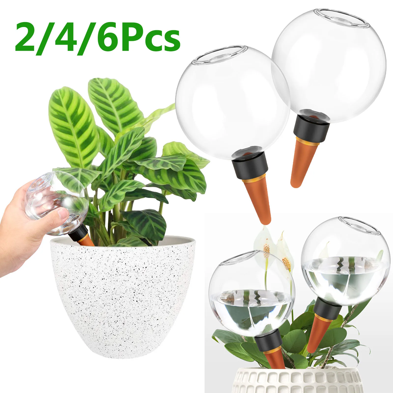 2-4-6Pcs-Automatic-Watering-Plants-Globes-Balls-500ML-Self-Watering ...