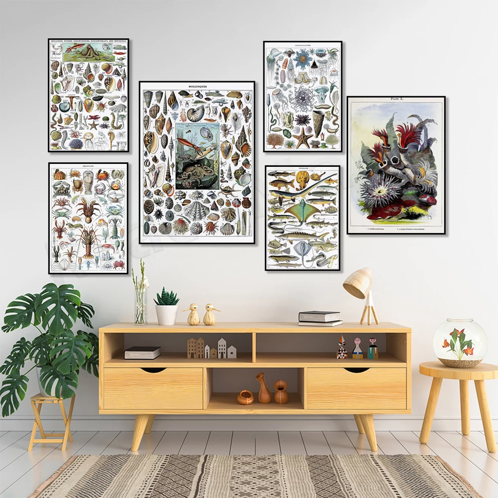 Marine Biology Artwork