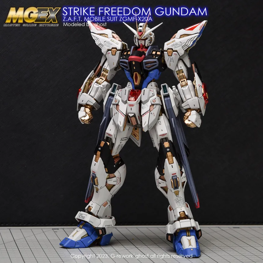 Strike Freedom Gundam Custom