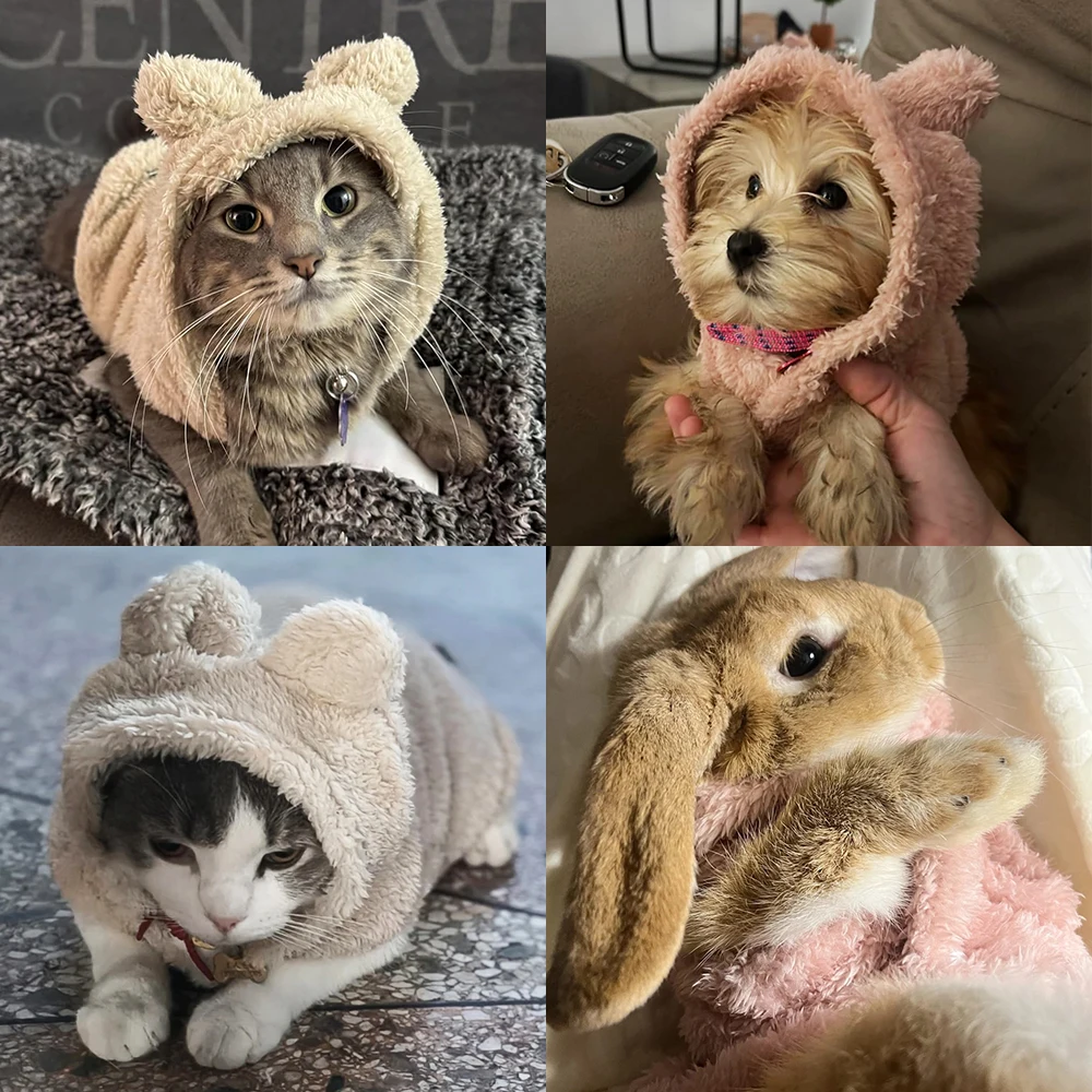 Winter Pet Sweater Coat Cute Ear Soft Hoddie Kitten Clothes Cozy Fleece ...
