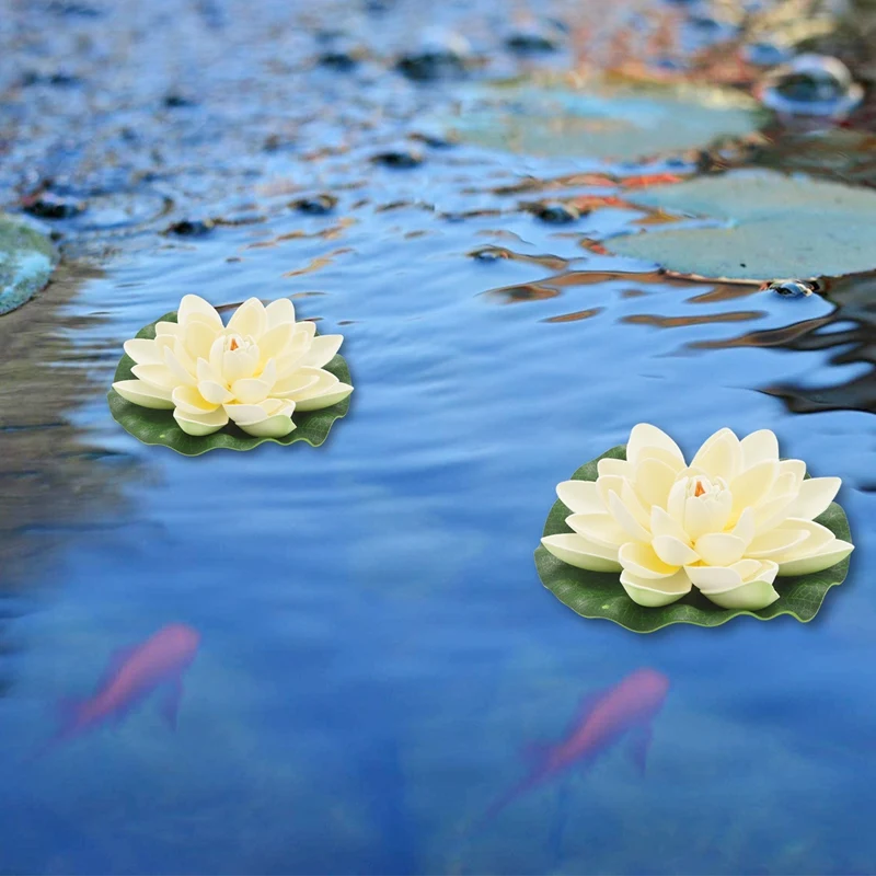 White Lotus Flowers In Water