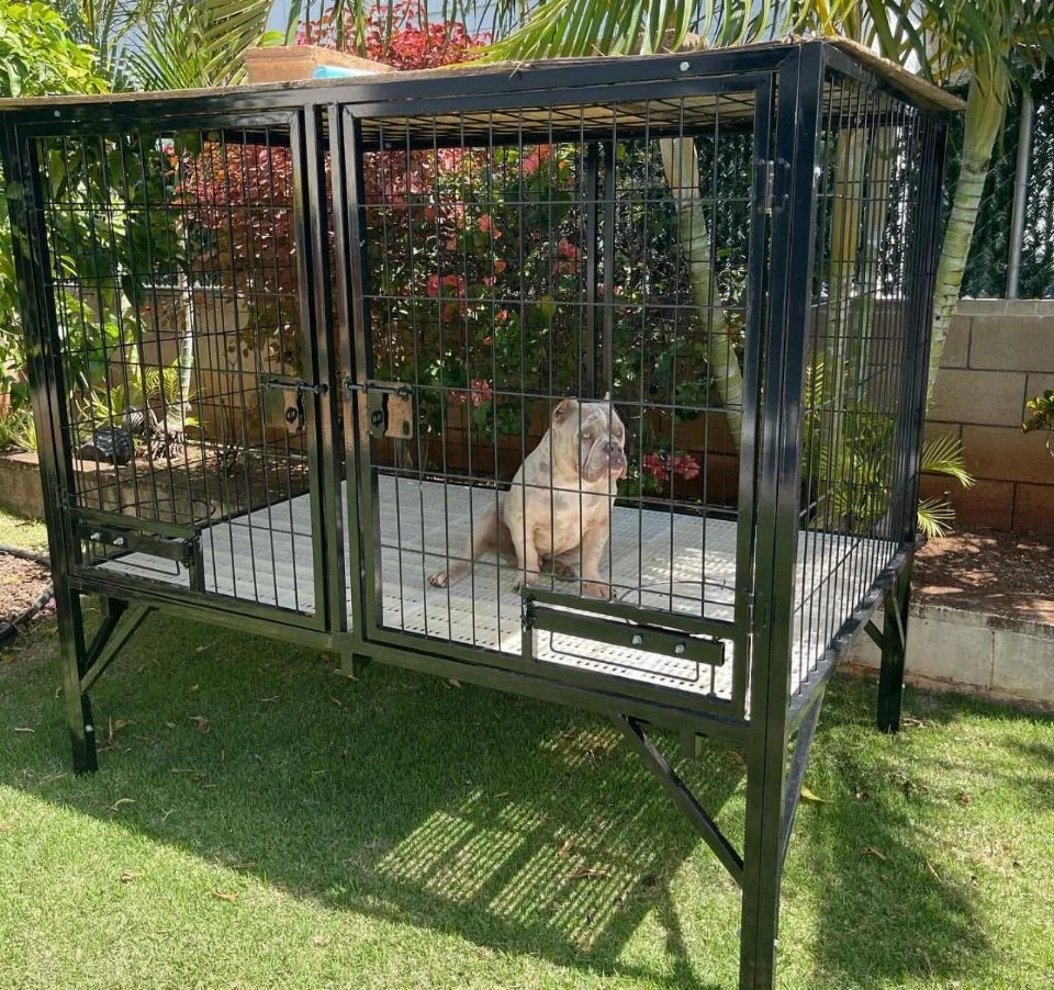 Unique Dog Cage Design