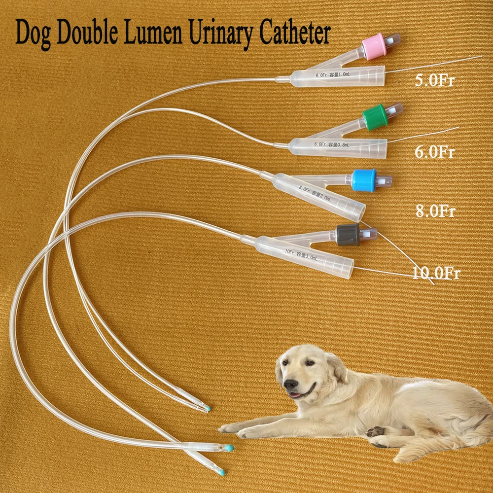 Professional-Pet-Dog-2-way-Foley-Bilateral-Urinary-Catheter-Luer ...