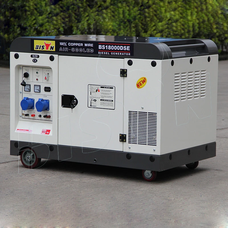 Chinese-Power-11kw-12kw-12kva-10-Kva-10kva-10kw-Single-Phase-Electric ...