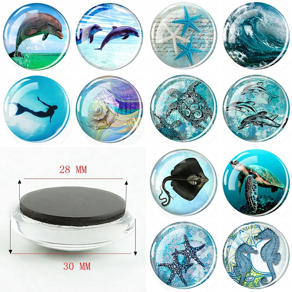 Blue Sea Marine Life Stickers Magnet Fridge Turtle Dolphin Seashells ...