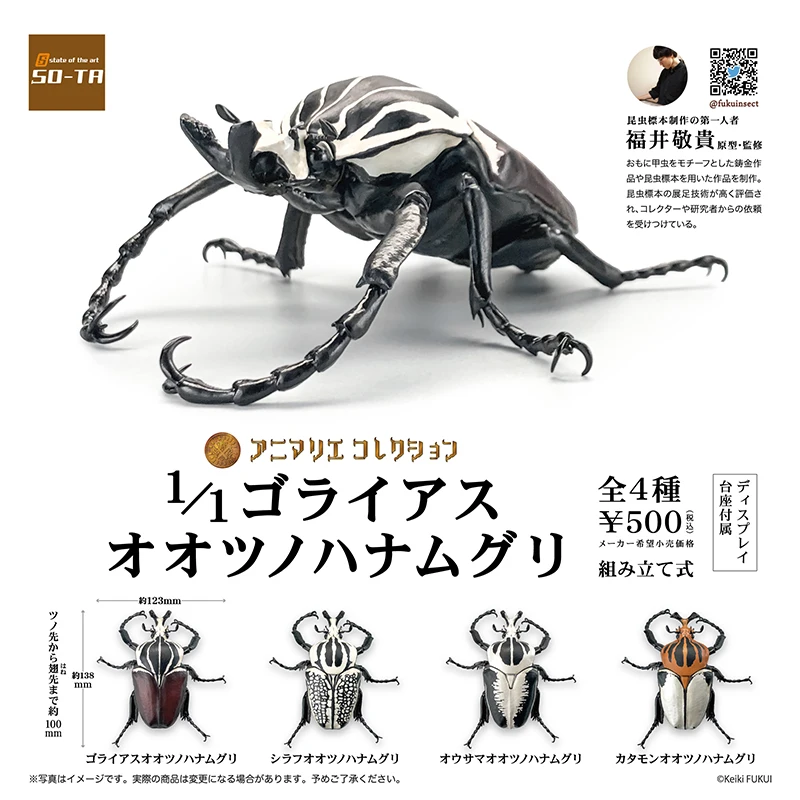 Beetles-Simulated-Insect-Model-Collection-Gashapon-Capsule-Toy ...