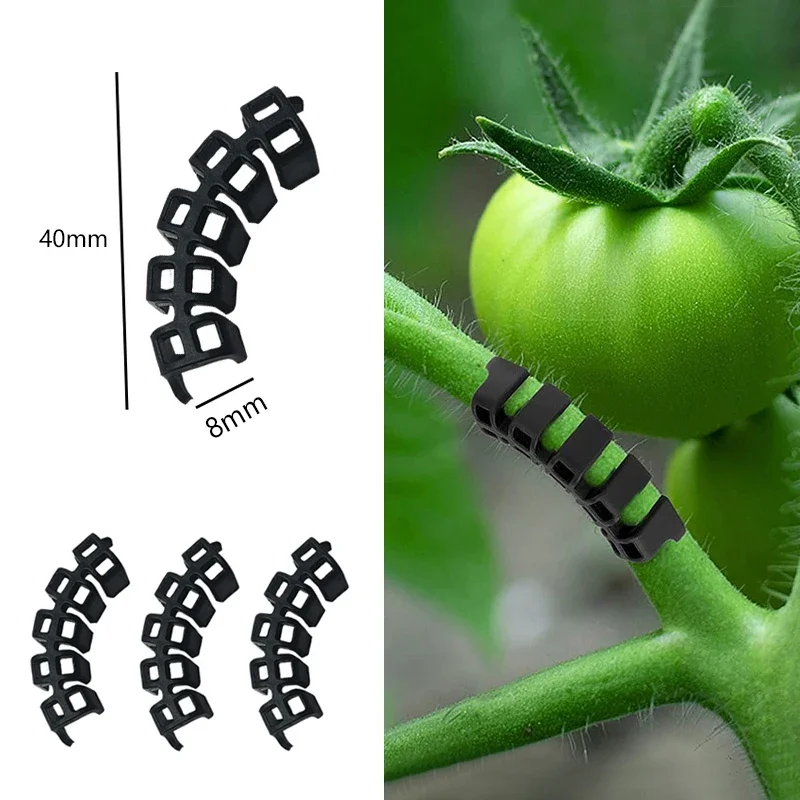 Vegetables-Tomato-Fixing-Clips-Reuseabl-to-Prevent-Bending-Support ...