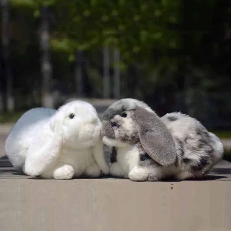 Store Home Products Getaway Deals Feedback