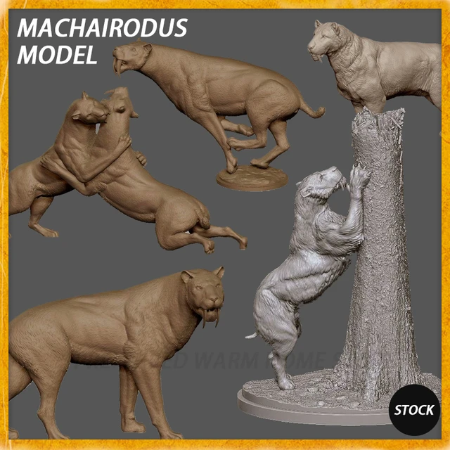 Eusmilus Vs Smilodon