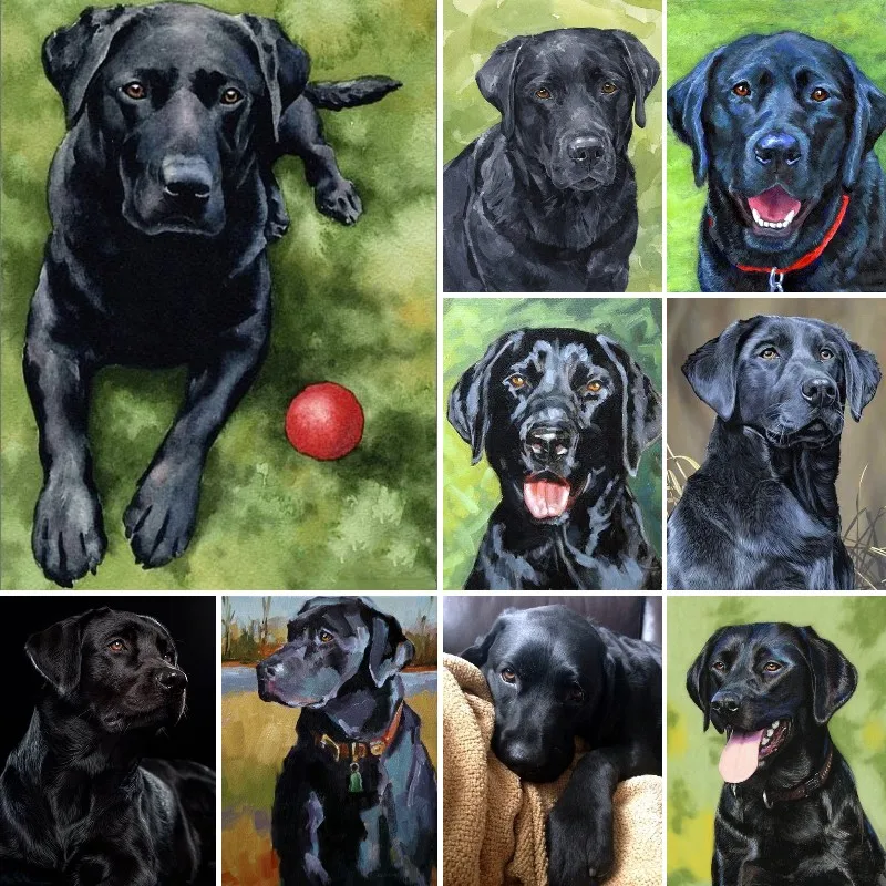 5D-DIY-Diamond-Painting-Black-Dog-Labrador-Retriever-Full-Rhinestone ...