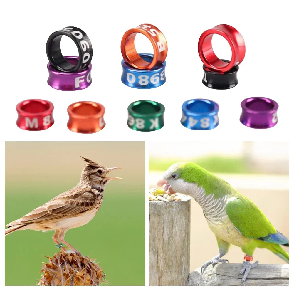 20Pcs 2025 Aluminum Plastic Pigeon Foot Ring With Number Letter Bird ...