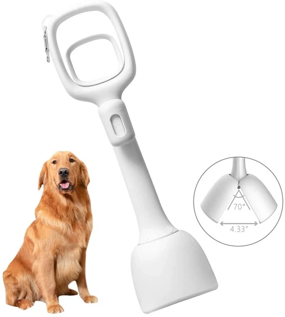 Como Limpiar Caca En El Pelo De Un Perro