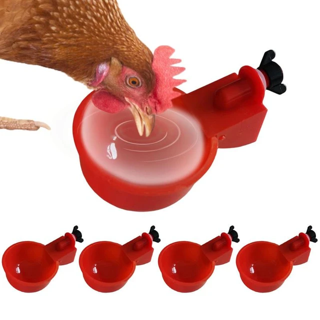 Self Watering System For Chickens