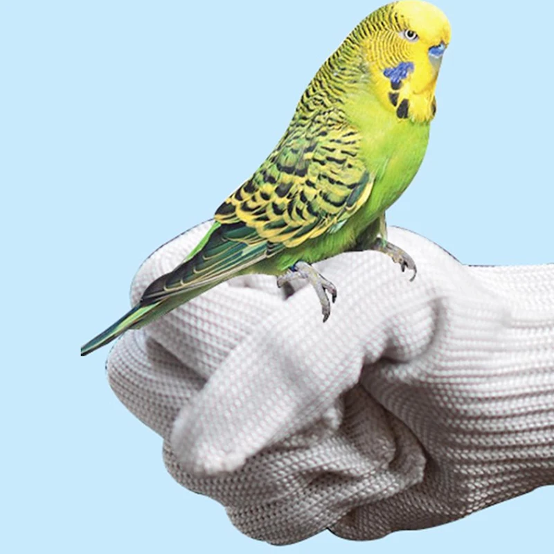 Parrot Anti-bite Gloves | That's So Fetch!