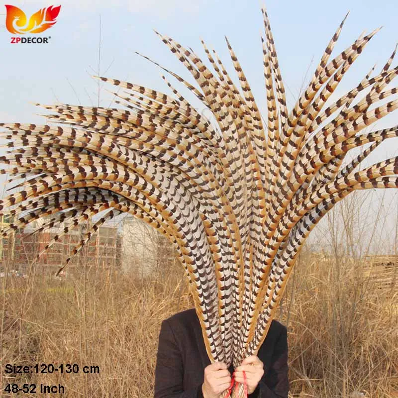 ZPDECOR-plumas-de-fais-n-Reeves-naturales-120-130cm.jpg