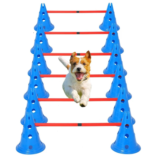 Dog Agility Structures