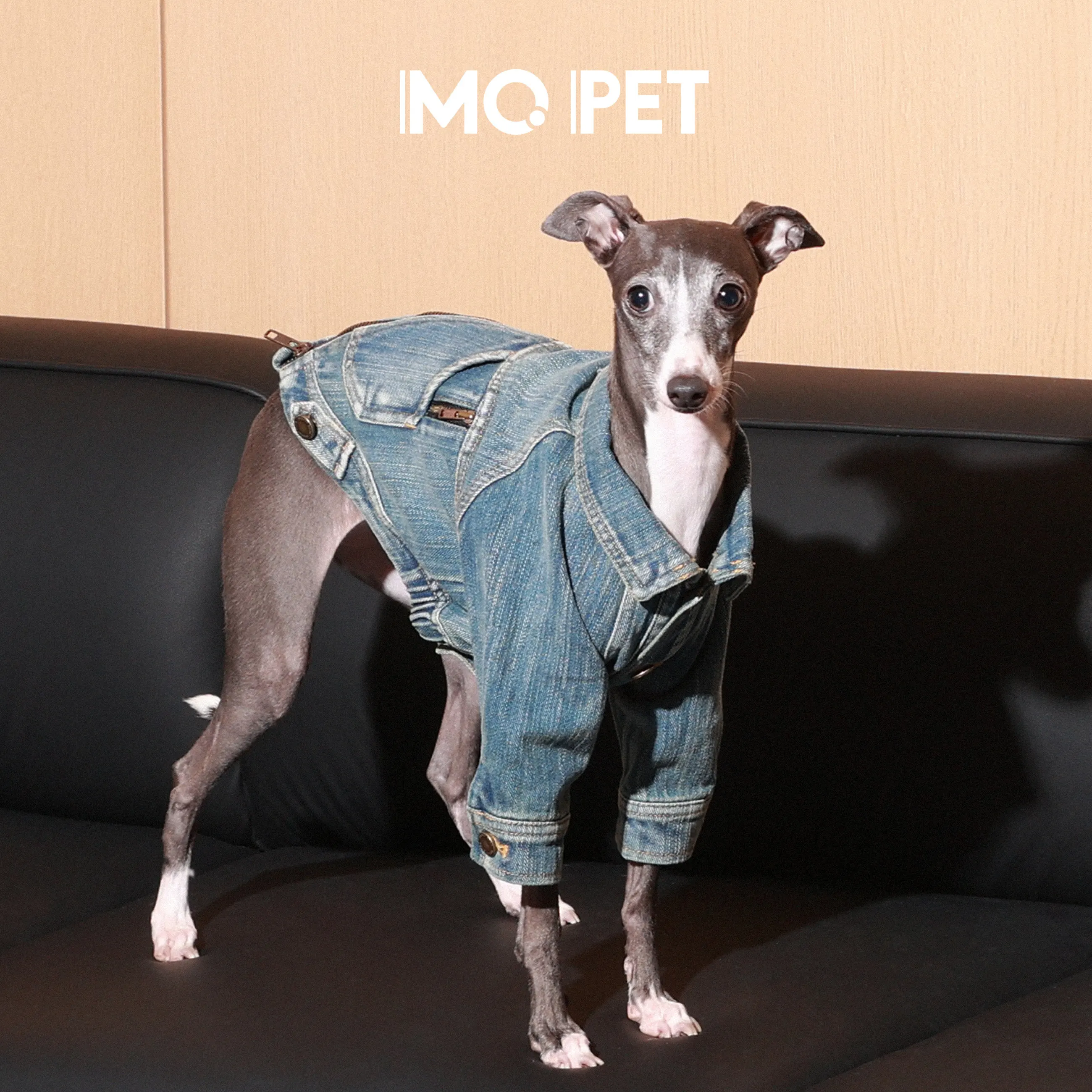 Spring Hand-Brushed Distressed Slub Cotton Denim Blue Jacket Dog ...