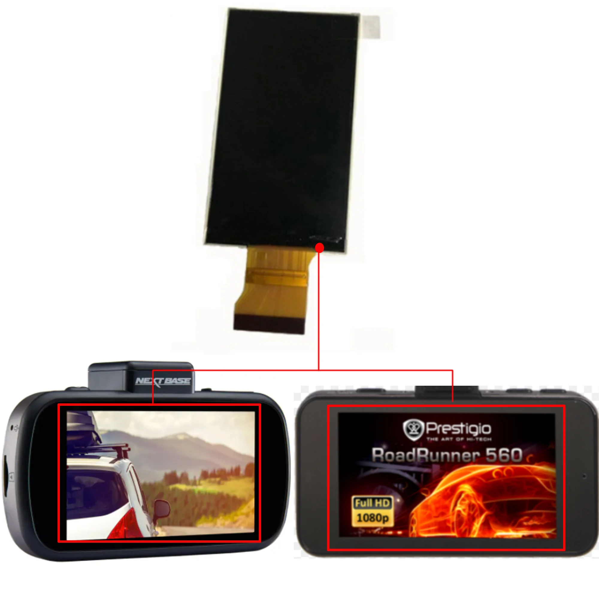 Home negozio Prodotti Feedback