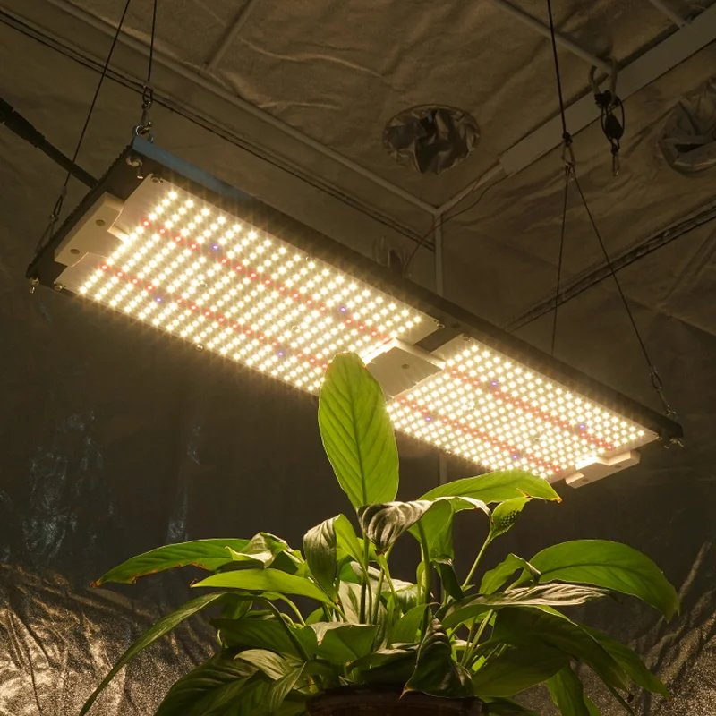 2023 Newest Kingbrite 240W LED Grow Light LM301H UV IR QB288 boards 660 ...