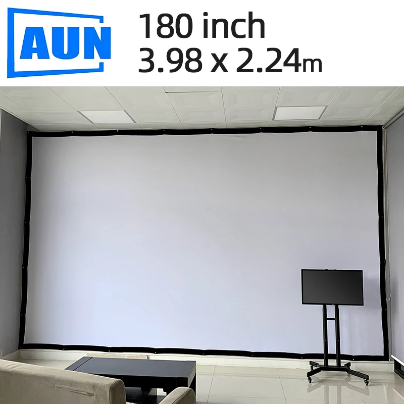 Large Projector