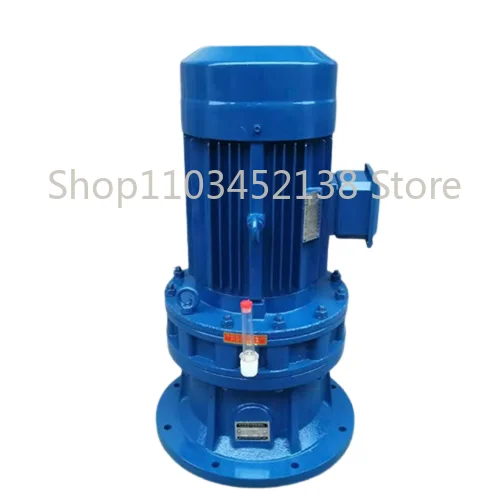 Planetary-BWD-XWD-cycloid-pin-gear-reducer-3-phase-vertical-mount-motor-gearbox-2-2kw.jpg