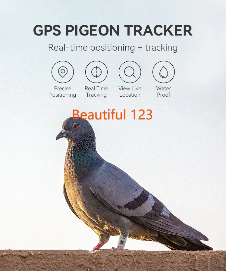 Anillo-de-Seguimiento-GPS-para-loros-y-aves-1-piezas-110mAh-palomas-de ...