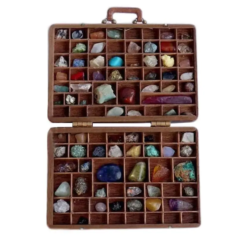 Rock Collection Box For Kids Rock & Mineral Collection Activity Kit ...