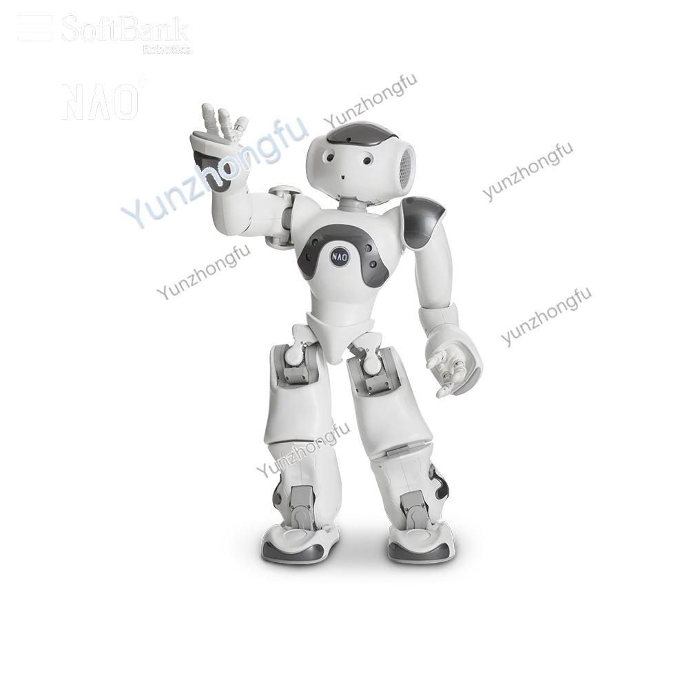 Robots Humanoid Intelligent Smart Nao With Multi Functions, Remote ...