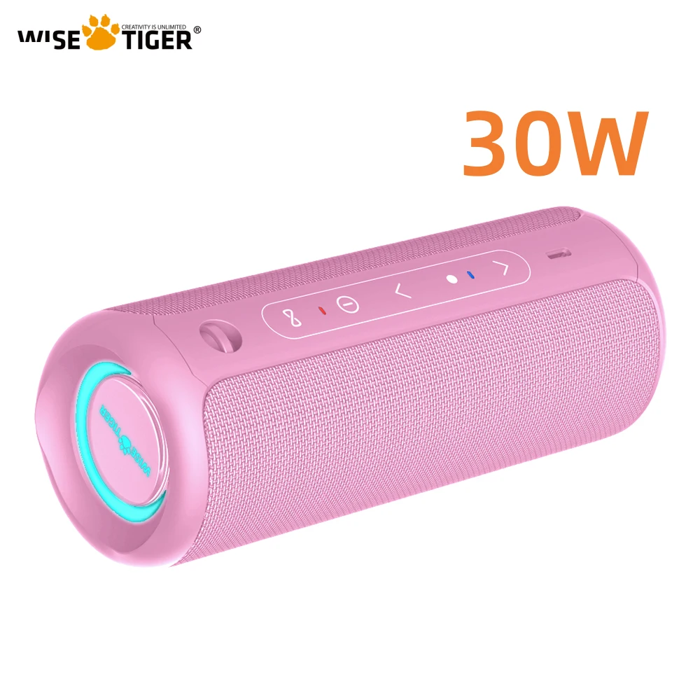 WISETIGER-P3-Portable-Bluetooth-Speaker-Bass-Boost-Speaker-IPX7 ...