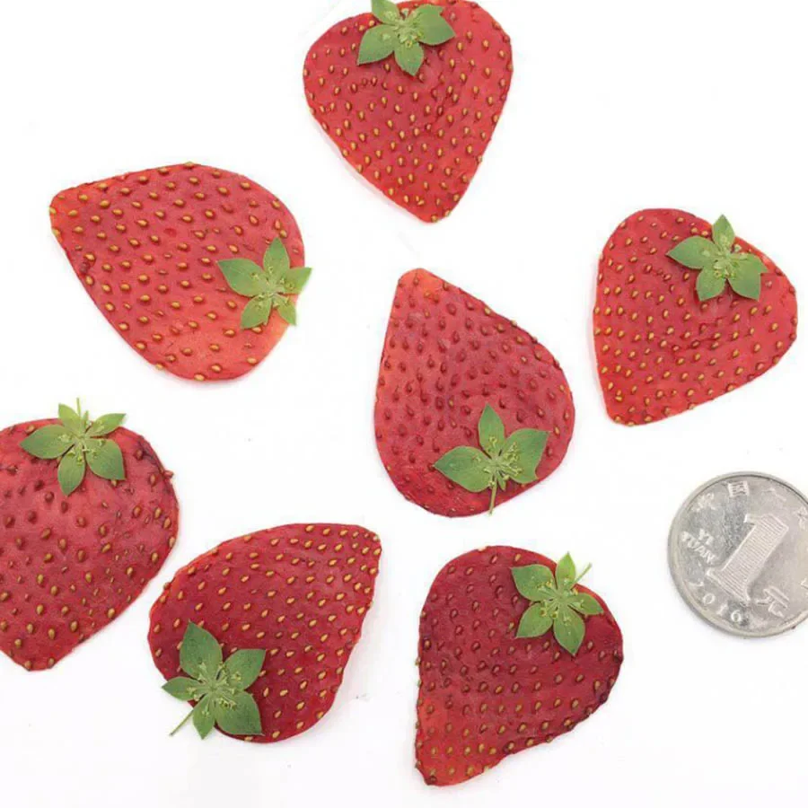 5pcs Dried Pressed Fruit Strawberry Peel Slices Plant Herbarium For ...