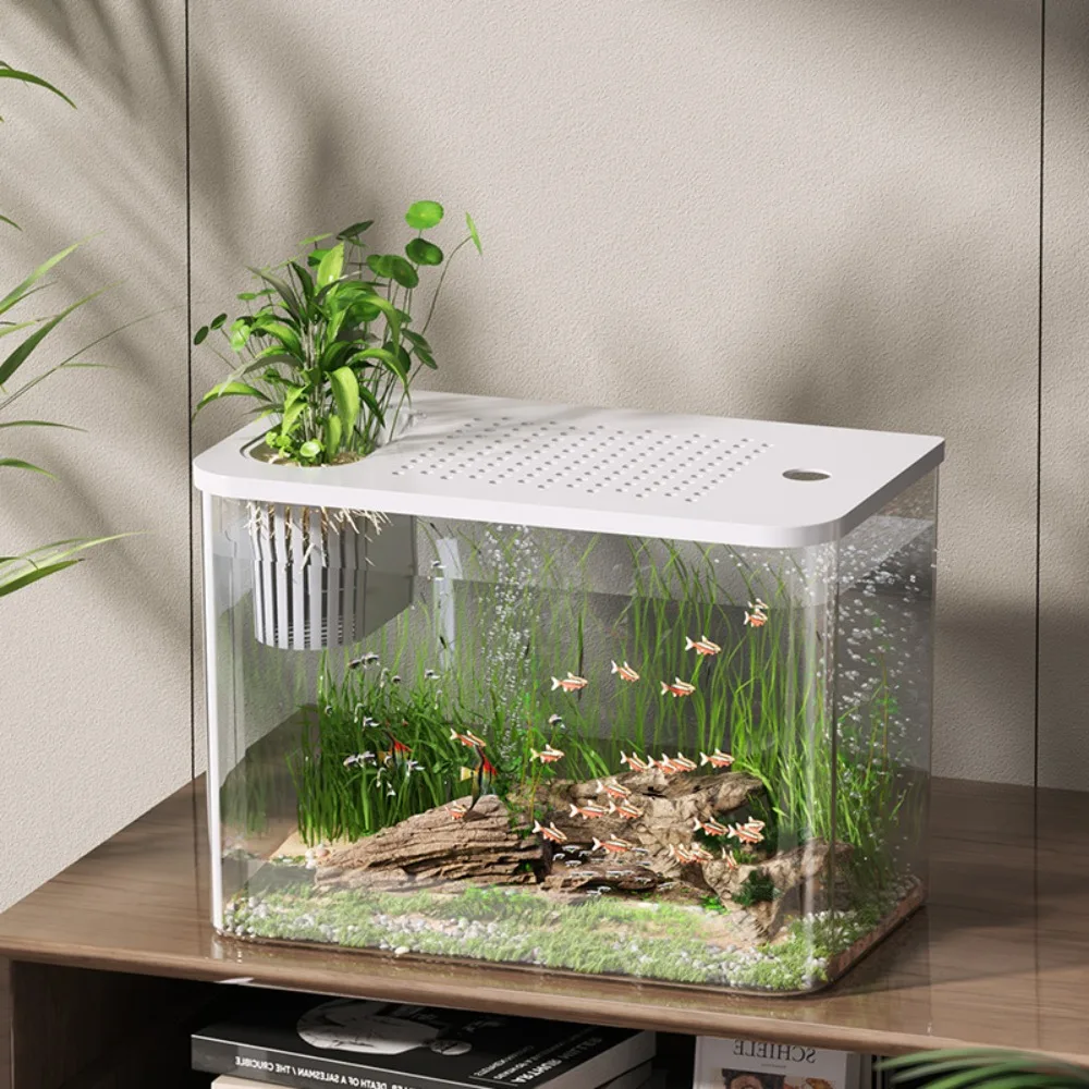 PET-ABS-Fish-Tank-New-Transparent-with-Lid-Aquarium-Drop-Resistant ...