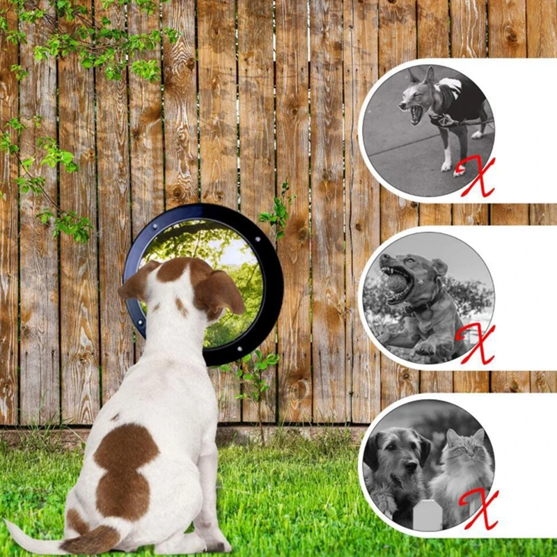 Dog Fence Window Bubble Dome - Fellow Store
