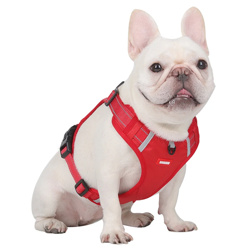 Premium Frenchie Harness Vest: Adjustable with Safety Reflective Lead ...