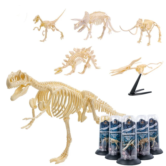 Tyrannosaurus Skeleton Toy