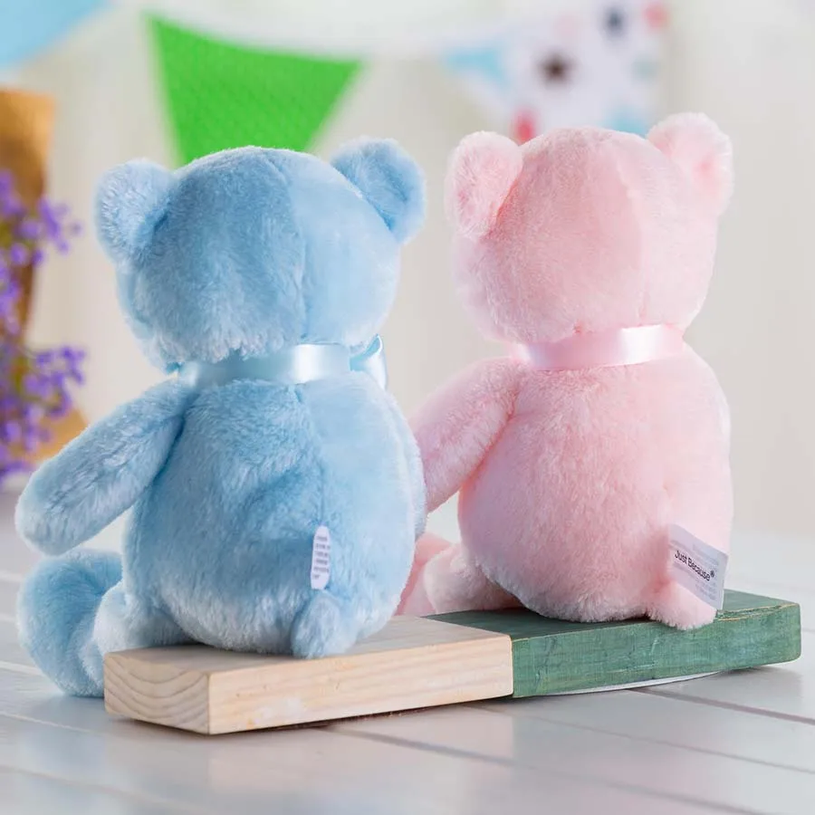 Light Blue Teddy Bear