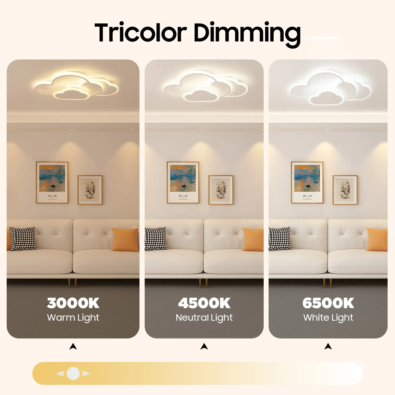Dimmable LED Ceiling Light 22-inch Modern Cloud-Shaped 3-Color Lamp ...